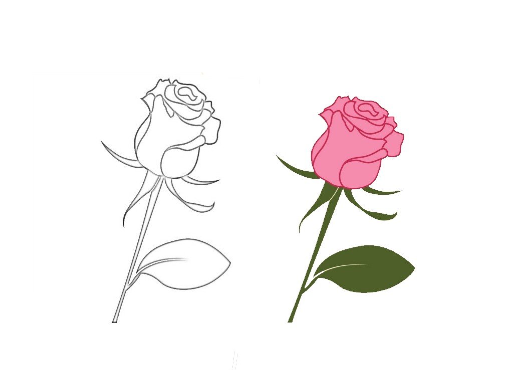 Rose coloring page