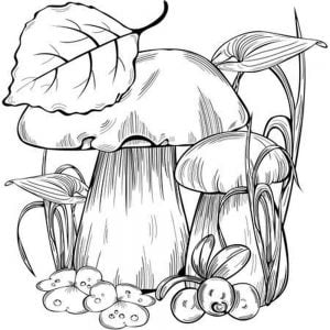 Grybai spalvinti 🍄 – PEPE.LT