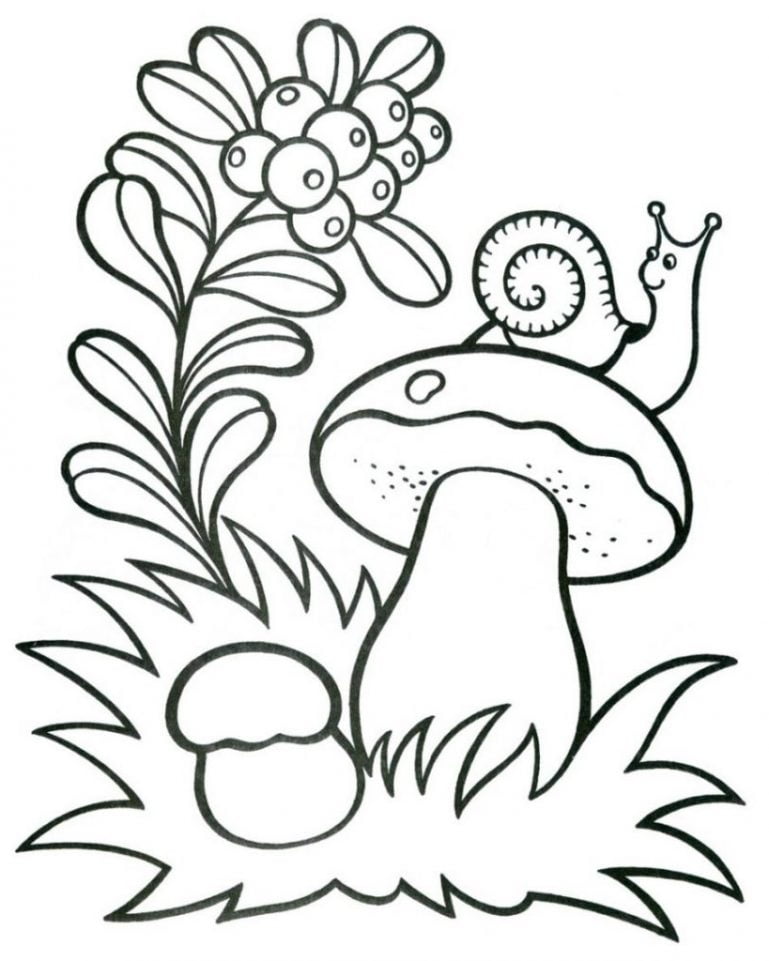 Grybai spalvinti 🍄 – PEPE.LT