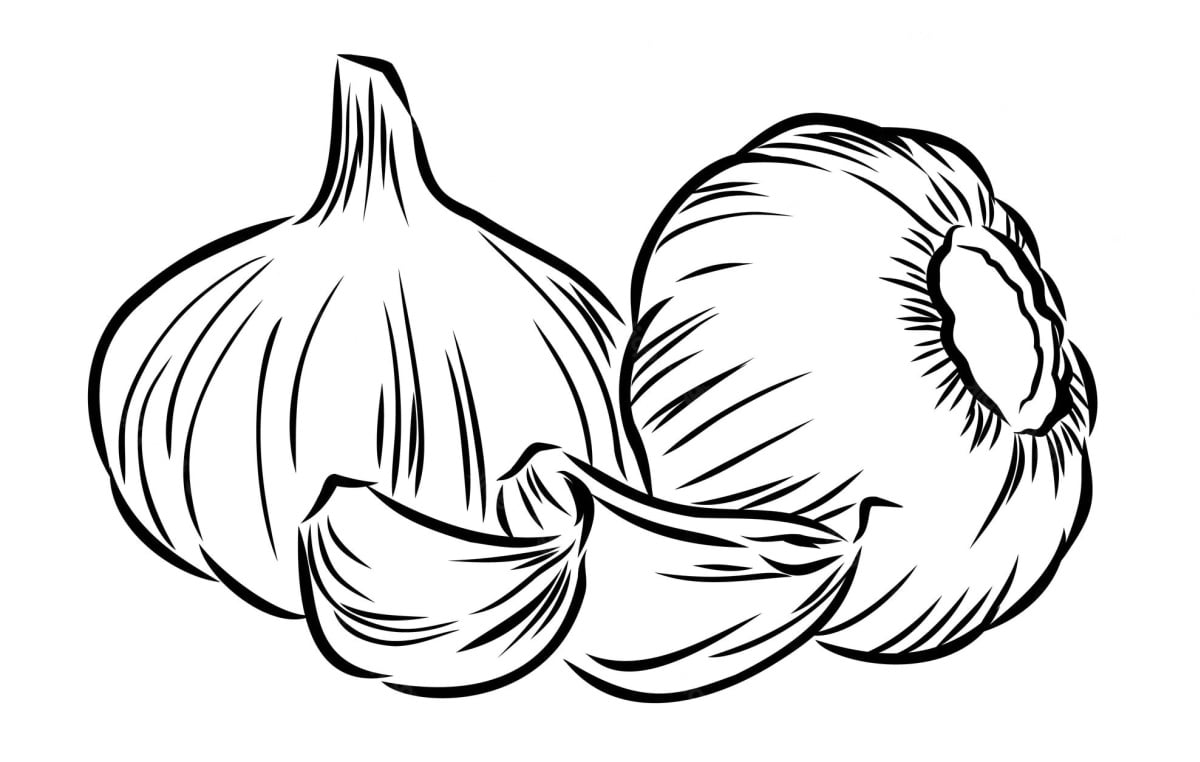 Ngjyrosja e frutave dhe perimeve 🥕🍓 – PEPE.LT