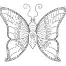 Bolalar uchun chizmalar. Rangli rasmlar kitob - PEPE.LT