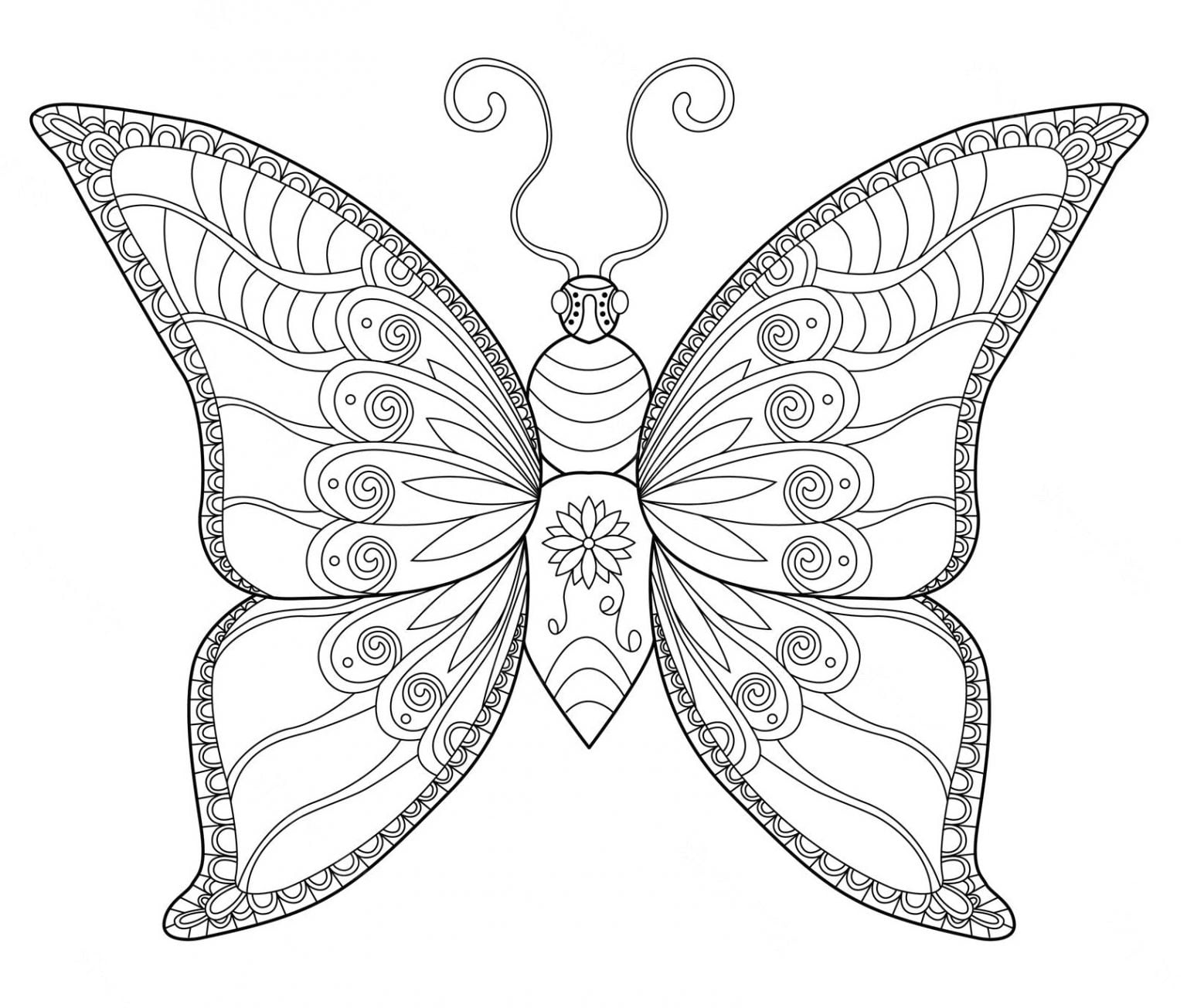 Drugeliai spalvinimui 🦋 – PEPE.LT