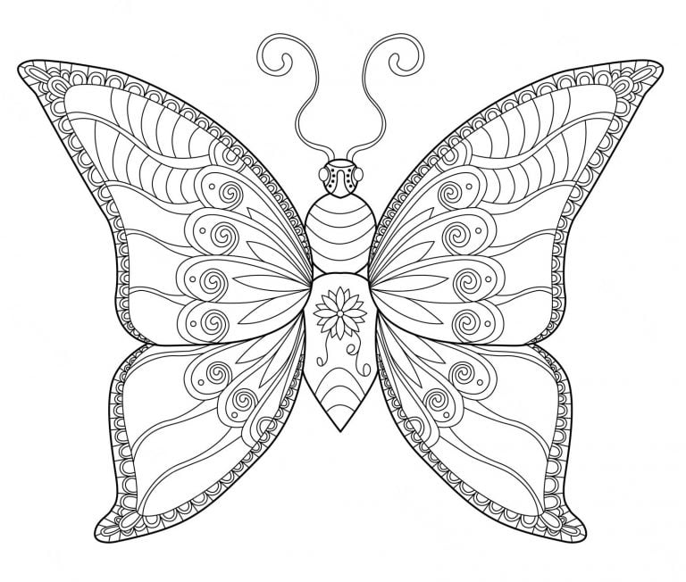 Leptiri bojanka 🦋 – PEPE