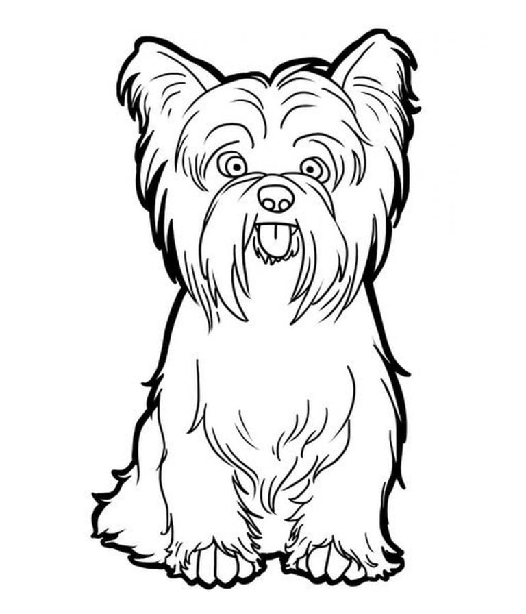 Psi bojanka 🐕 - PEPE