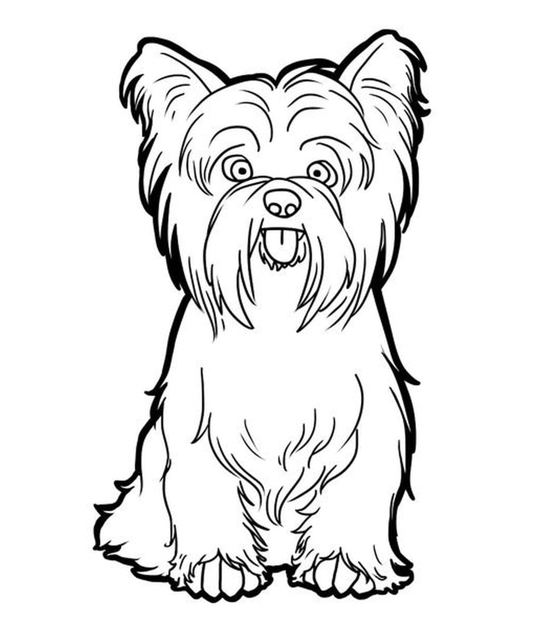 Psi pobarvanka 🐕 - PEPE.LT