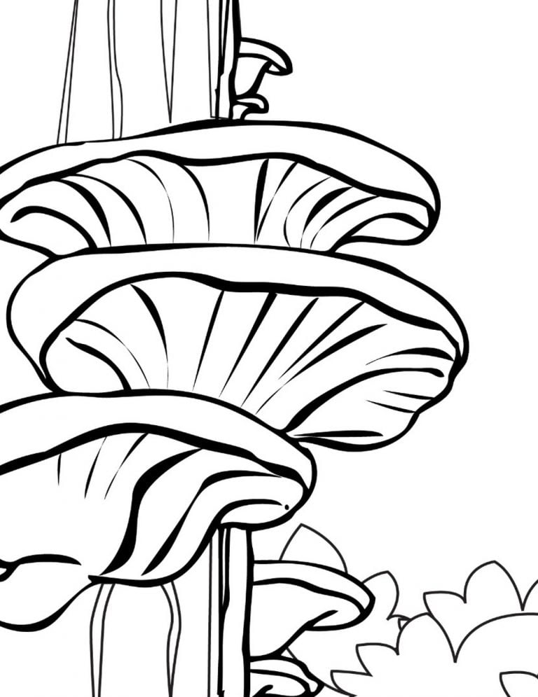 Grybai spalvinti 🍄 – PEPE.LT