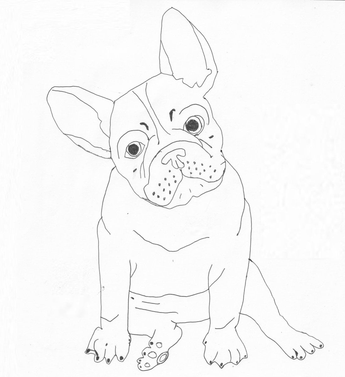 Bo'yash uchun itlar 🐕 - PEPE.LT