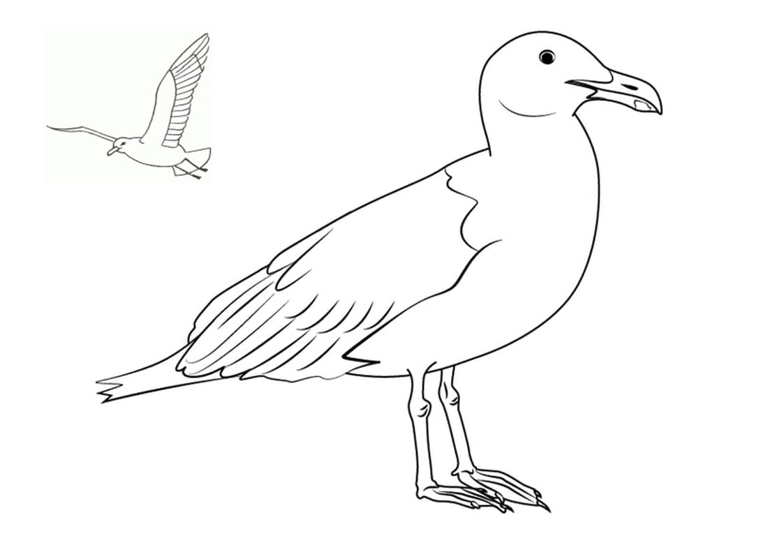 Paukščiai spalvinimui 🦜 – PEPE.LT