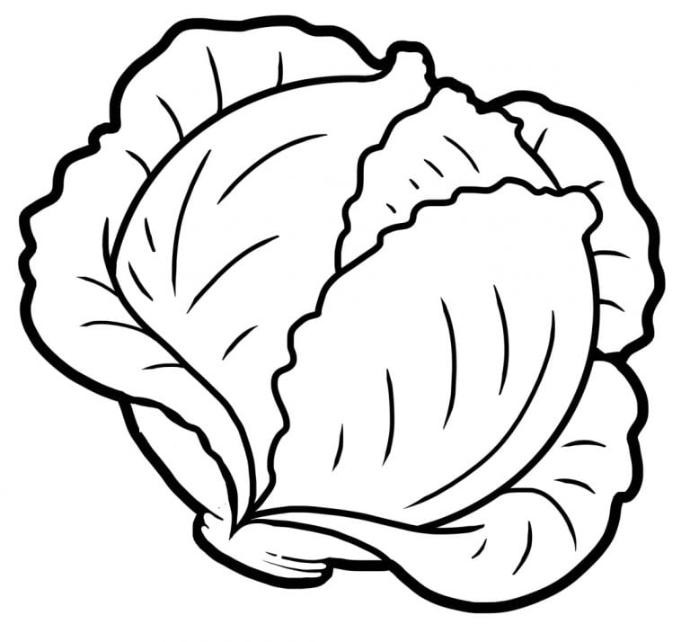 Rang berish uchun Meva va sabzavotlarni 🥕🍓 – PEPE.LT