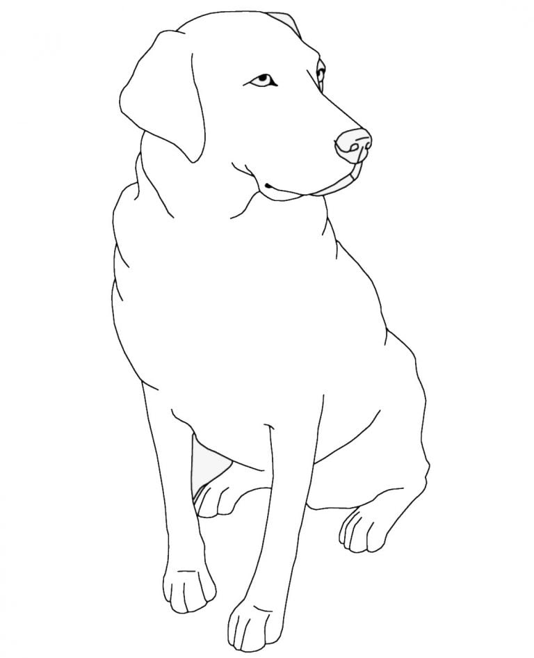 Kutyák színező 🐕 - PEPE.LT