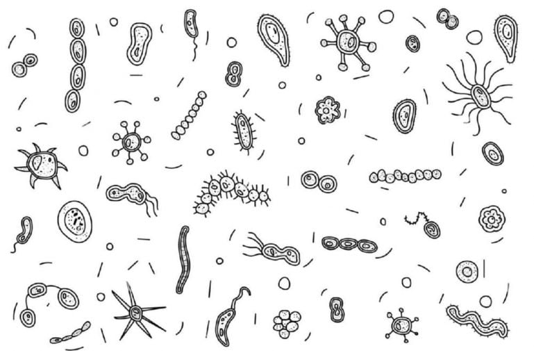 Mikrobai ir bakterijos spalvinimui 🪱 – PEPE.LT