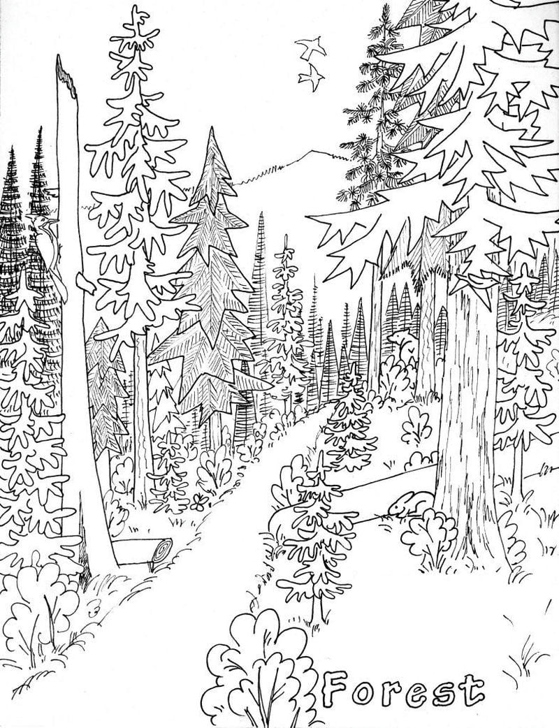 Bo'yash uchun tabiat tasvirlari 🌄 - PEPE.LT