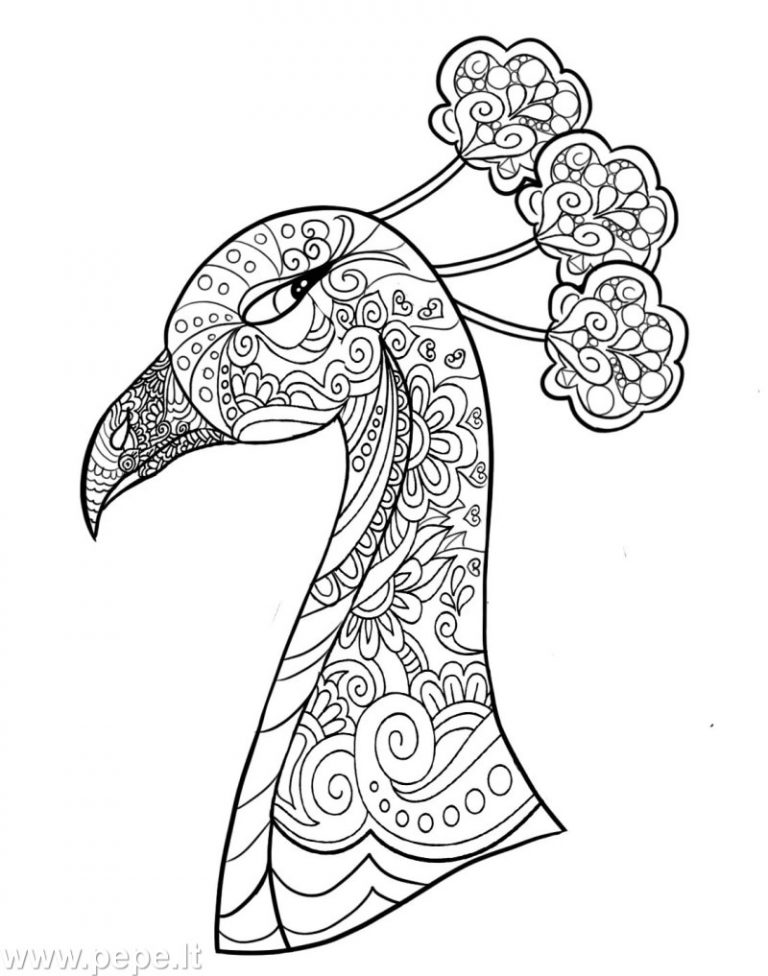 Mandalos paukščiai spalvinimui 🦤 – PEPE.LT