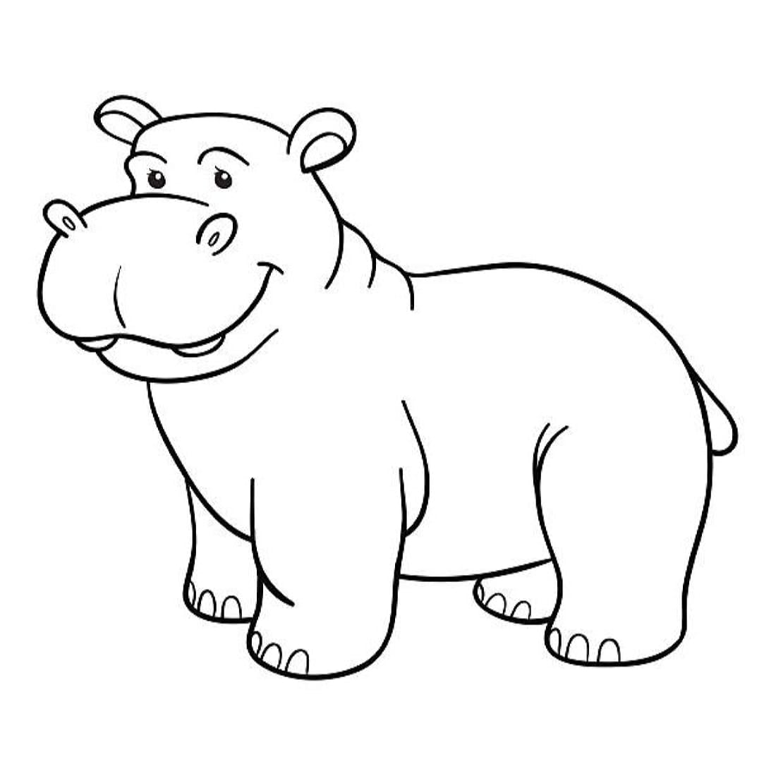 Laukiniai gyvūnai spalvinimui 🐒 – PEPE.LT