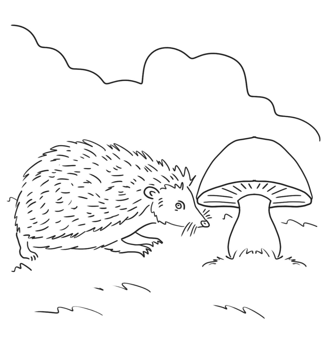 Krāsojamās Lapas Sēnes 🍄 Pepelt