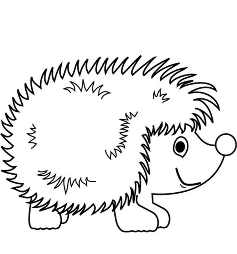 Laukiniai gyvūnai spalvinimui 🐒 – PEPE.LT