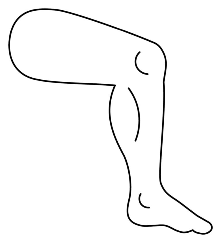 Kroppsdelar målarbilder 🧠 - PEPE.LT