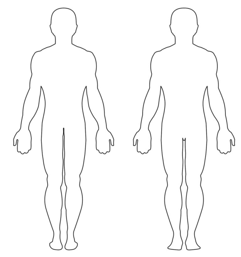 Kroppsdelar målarbilder 🧠 - PEPE.LT