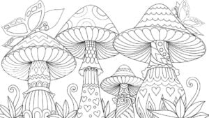 Grybai spalvinti 🍄 – PEPE.LT