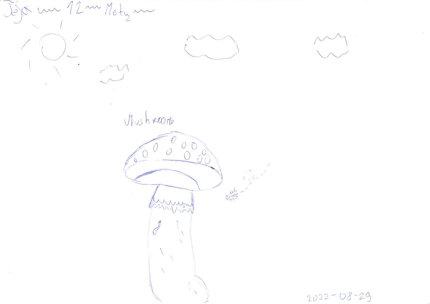 Kiti vaikų piešiniai – PEPE.LT