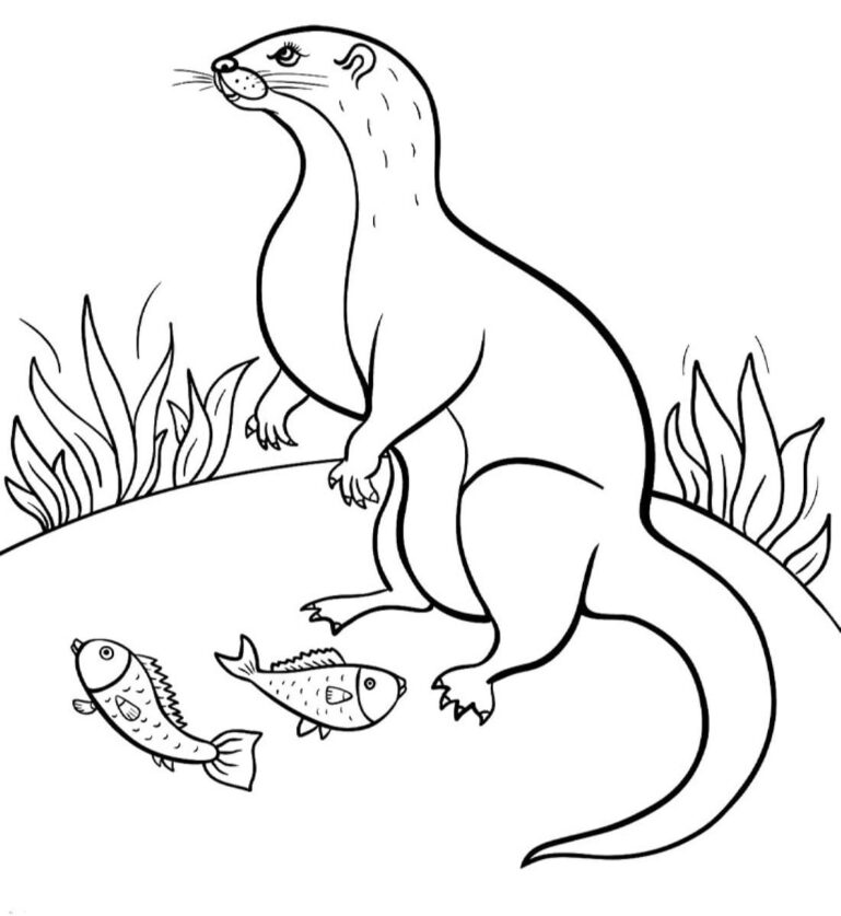 Divlje životinje bojanka 🐒 – PEPE