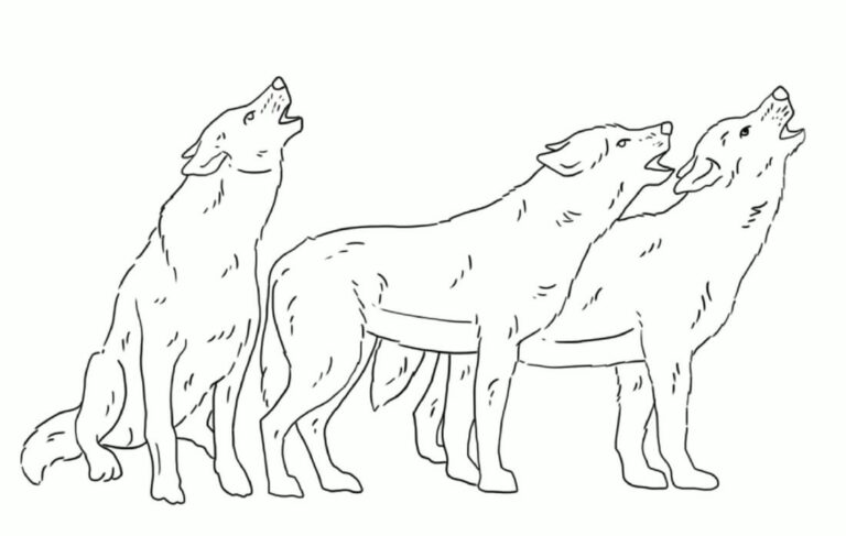 Vilda djur målarbilder 🐒 – PEPE.LT
