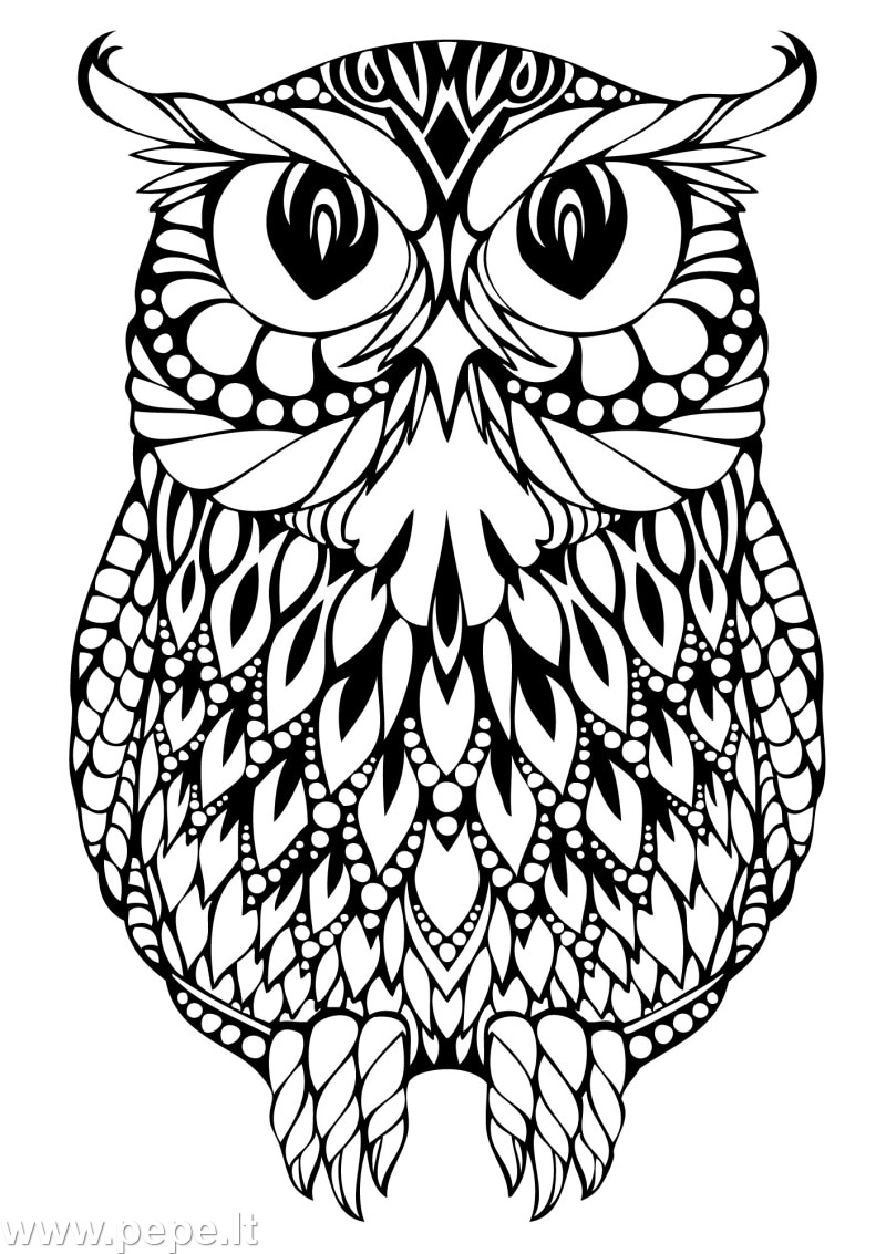 Mandalos paukščiai spalvinimui 🦤 – PEPE.LT