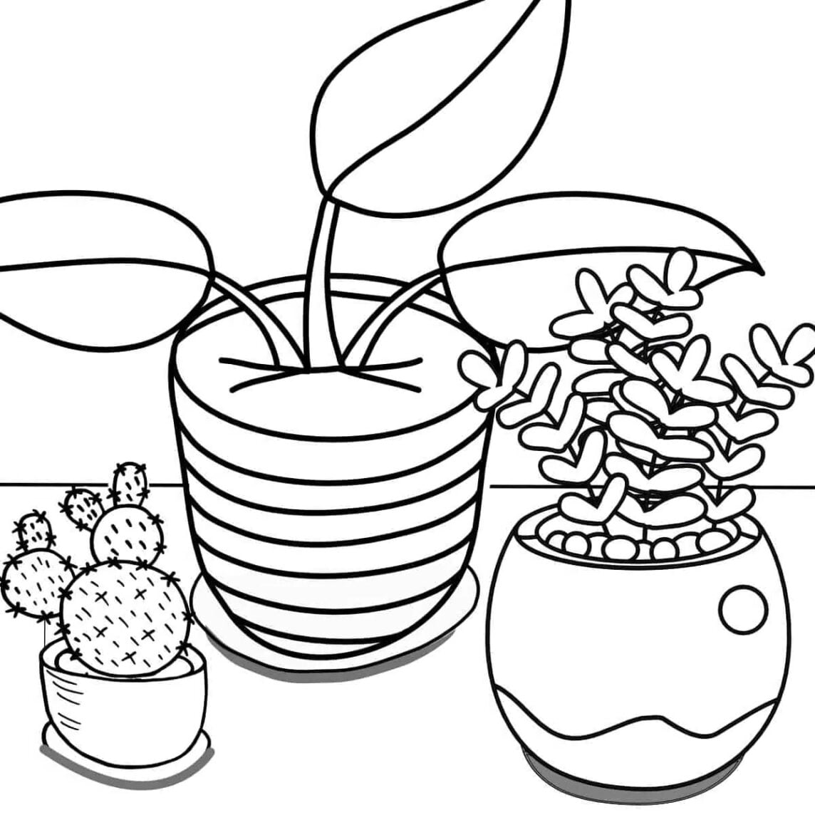 Bojanke za devojčice 👧 – PEPE