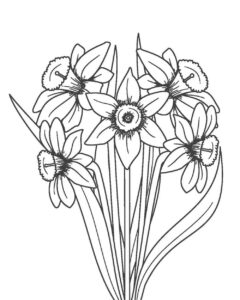 Lilled värvimiseks 🌷🌻 – PEPE.LT