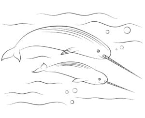 Samorogi pobarvanka 🦄 - PEPE.LT