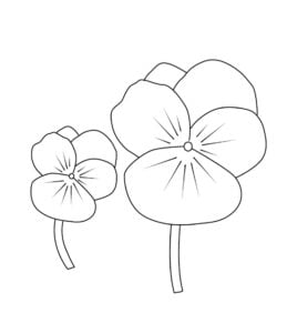 Lilled värvimiseks 🌷🌻 – PEPE.LT