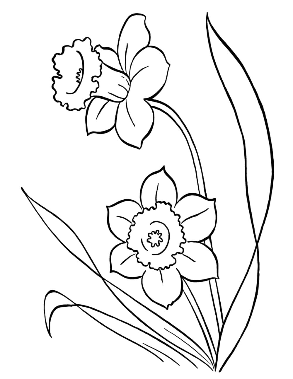 Pavasaris spalvinimui 🌱 – PEPE.LT