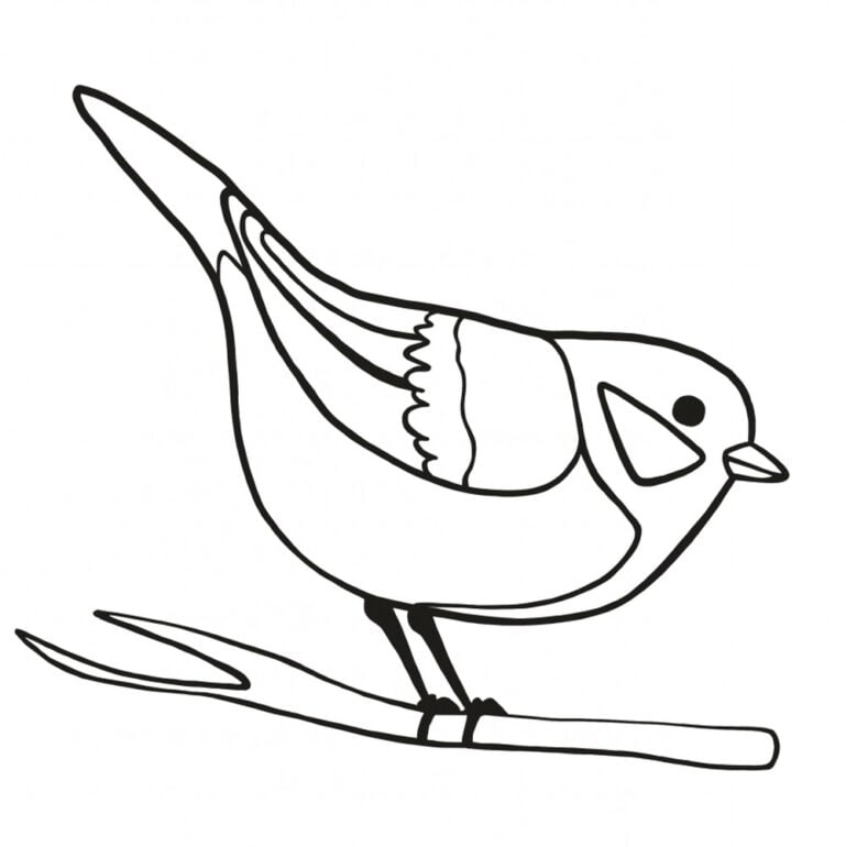 Ptice bojanka 🦜 – PEPE