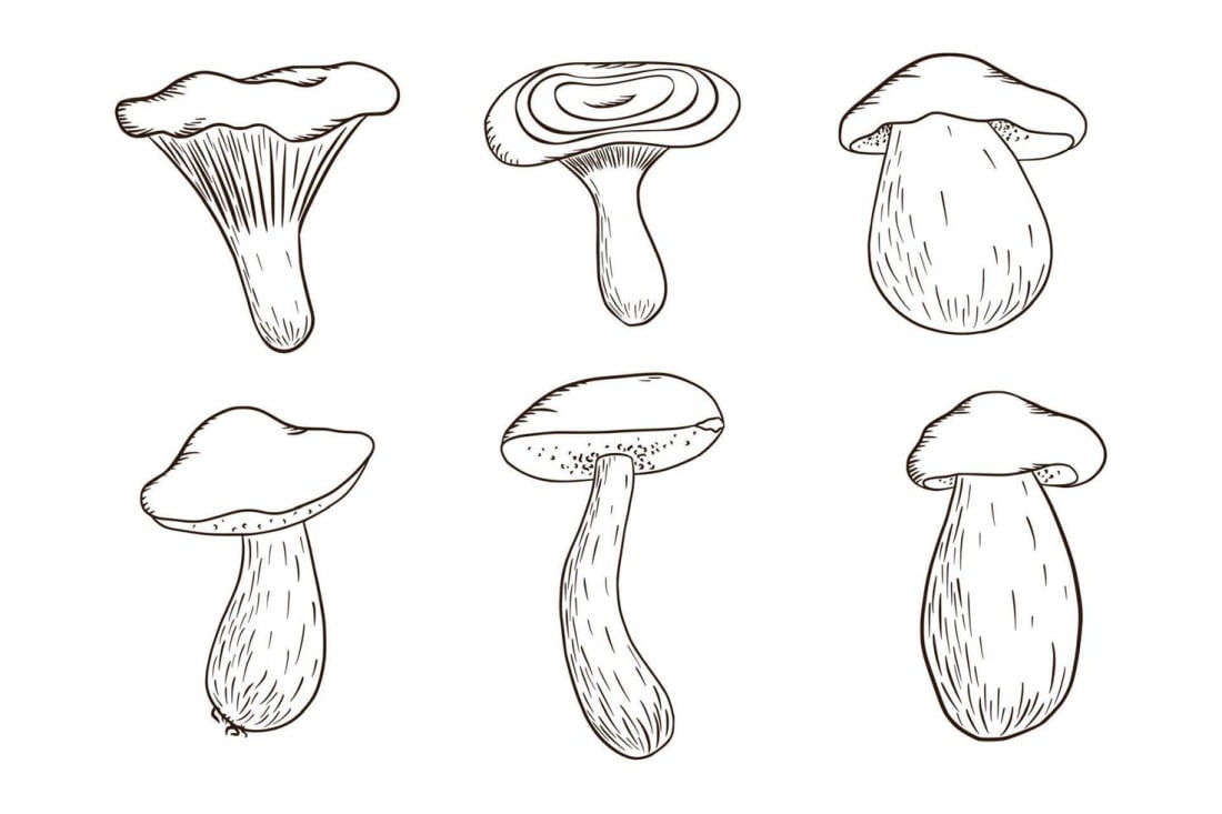 Grybai spalvinti 🍄 – PEPE.LT