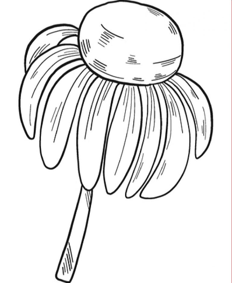 Mergaitėms paveiksliukai spalvinimui 👧 – PEPE.LT