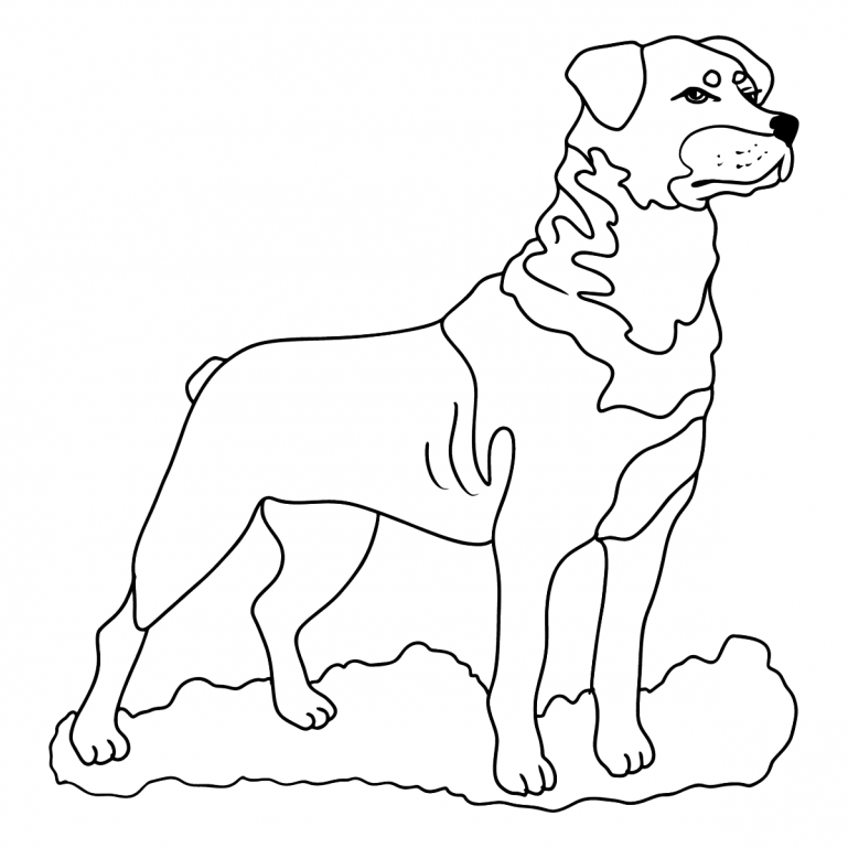 Psi bojanka 🐕 - PEPE