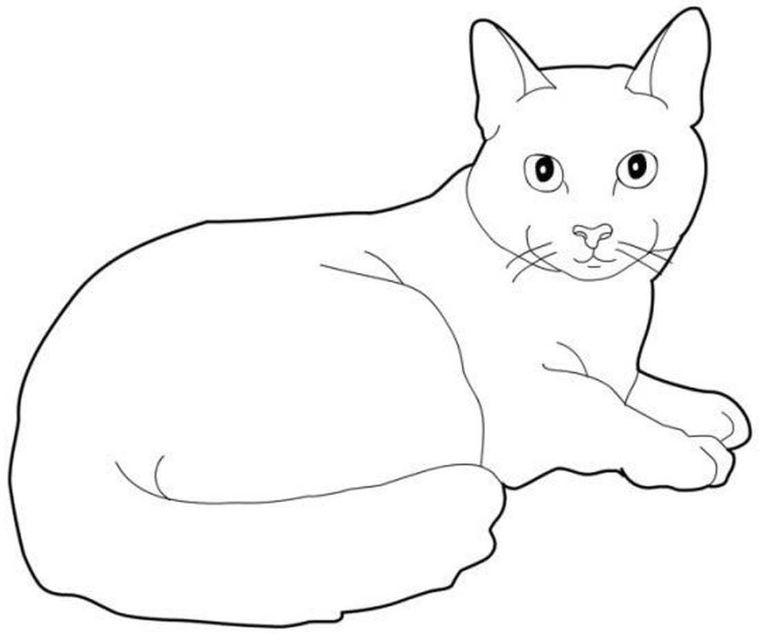 Mačke bojanka 🐱 - PEPE