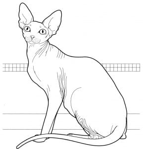 Katter målarbilder 🐱 - PEPE.LT