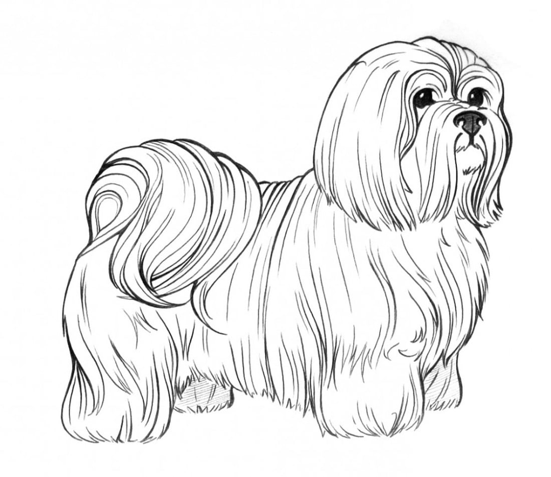 Psi bojanka 🐕 - PEPE