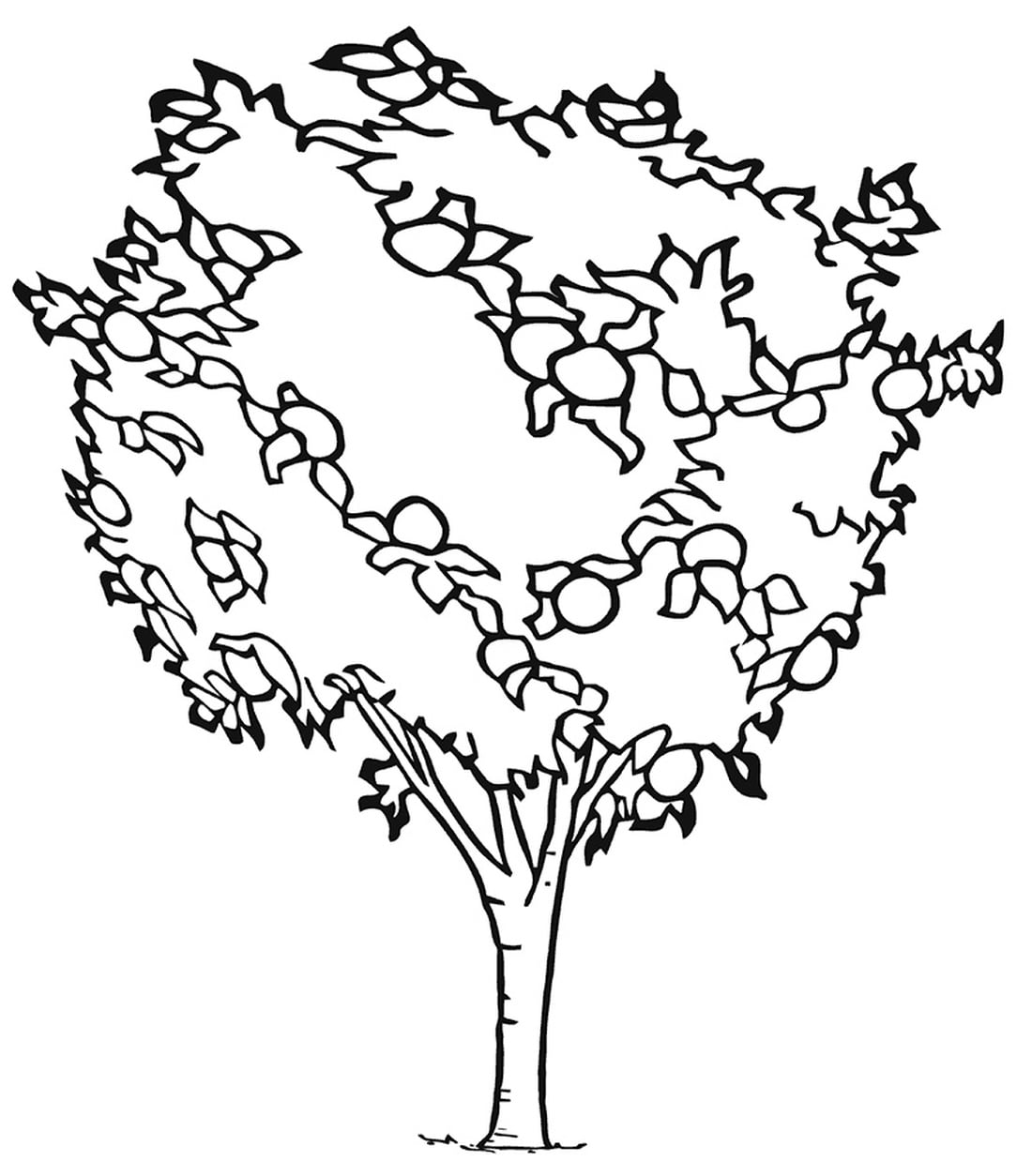 Drveće bojanka 🌳 - PEPE