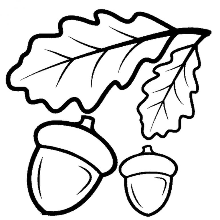 Medžiai spalvinimui🌳 – PEPE.LT