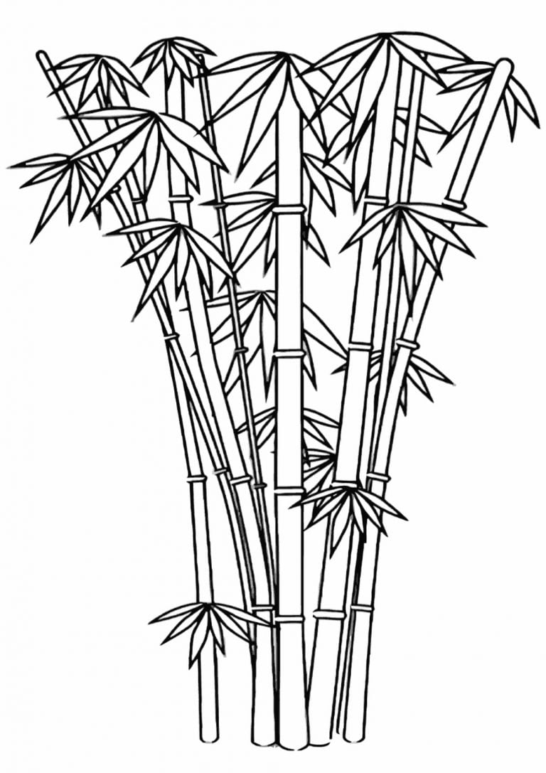 Medžiai spalvinimui🌳 – PEPE.LT