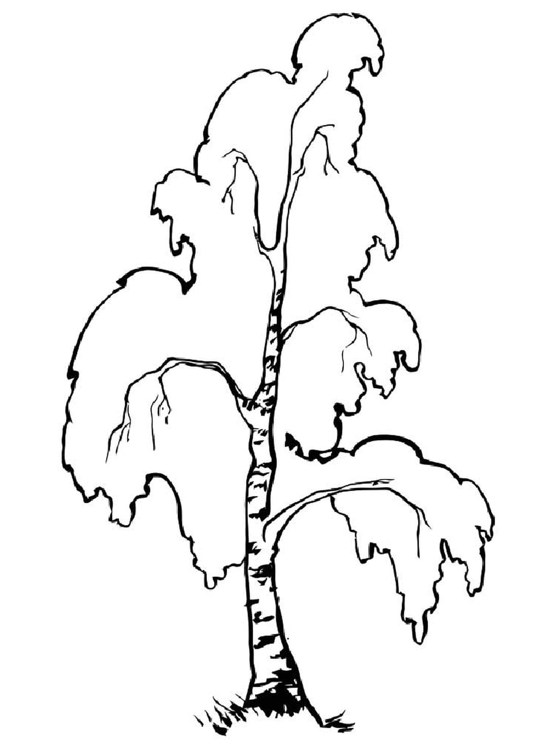 Medžiai spalvinimui🌳 – PEPE.LT