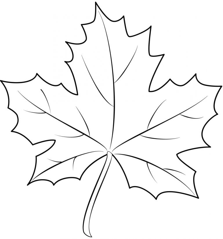 Medžiai spalvinimui🌳 – PEPE.LT