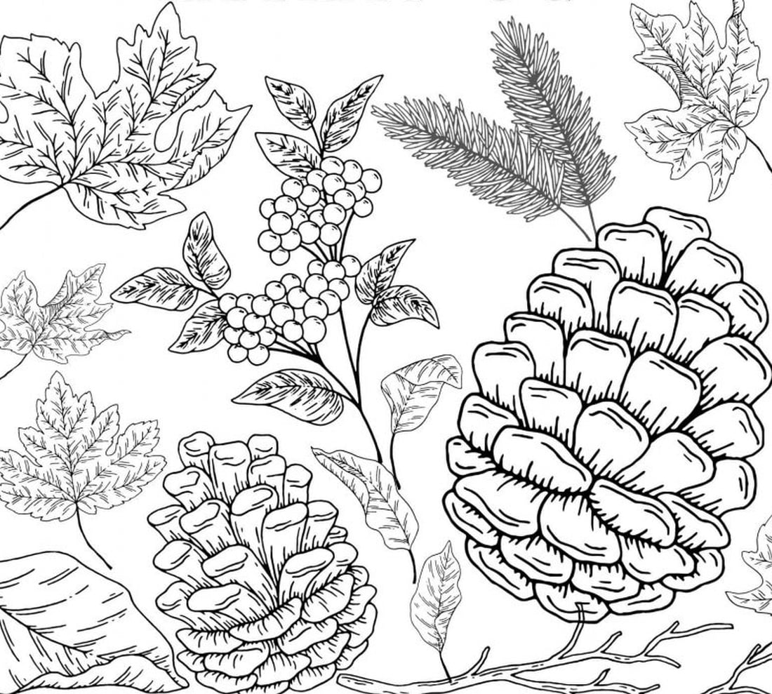 Rudens spalvinimas 🍂 – PEPE.LT