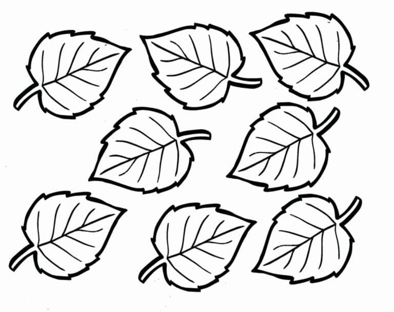 Efterår til farvelægning 🍂 - PEPE.LT