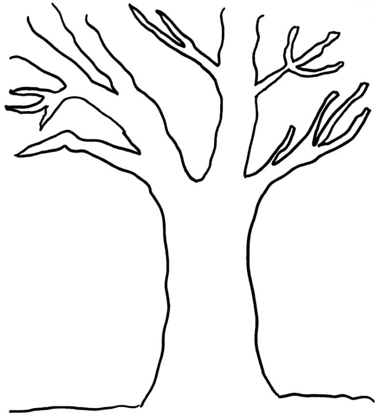 Bo'yash uchun daraxtlar 🌳 - PEPE.LT