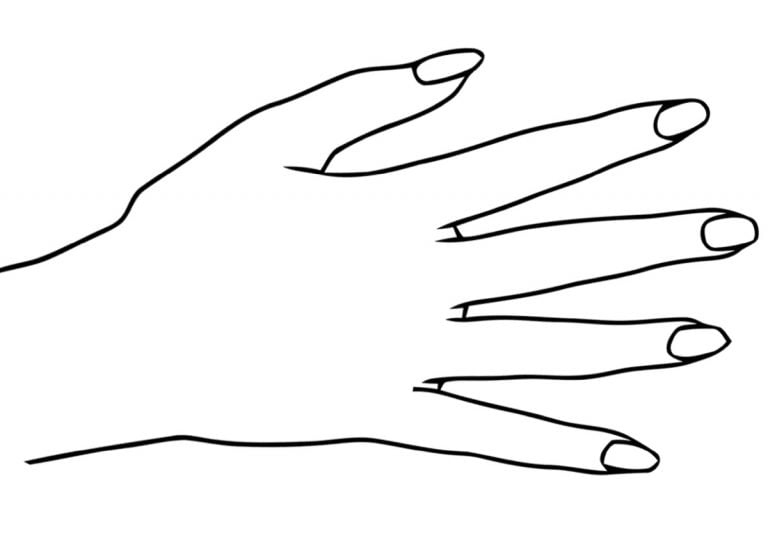 Nokti bojanka💅 - PEPE