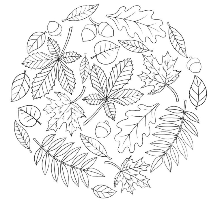 Rudens spalvinimas 🍂 – PEPE.LT