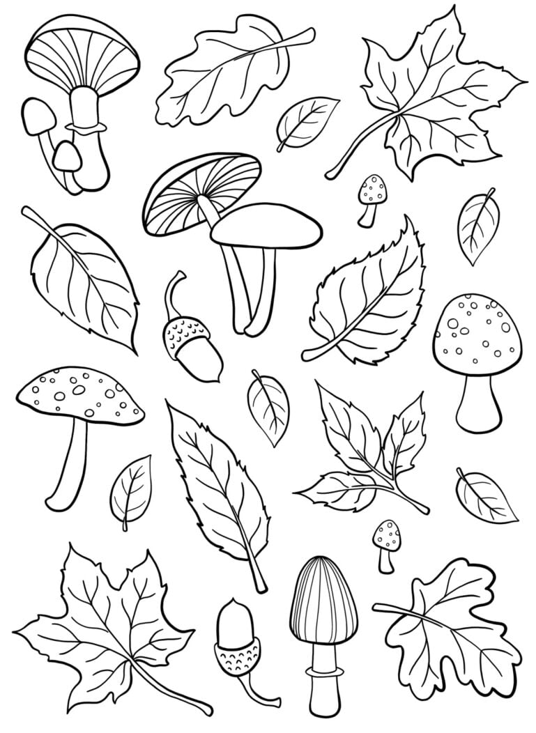 Vjeshte për ngjyrosje 🍂 - PEPE.LT